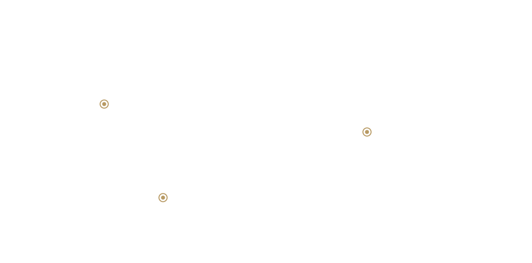 About Perficient / Perficient